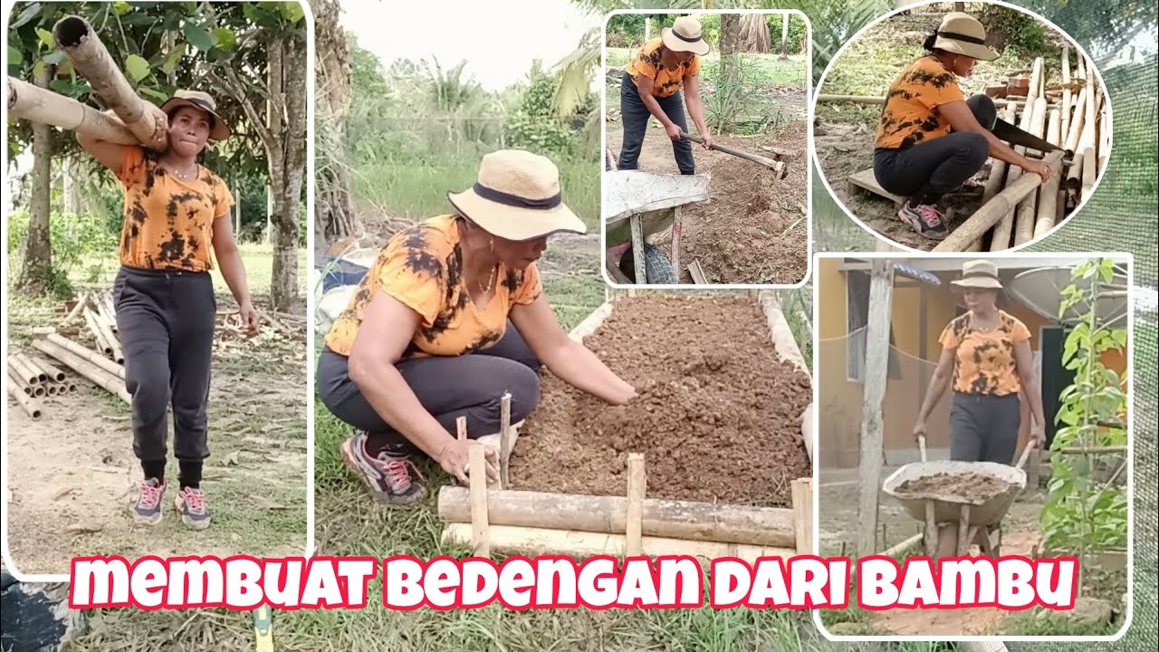 Aktifitas irt,,,membuat bedengan dari bambu di pekarangan rumah ...