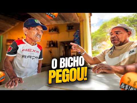 GALO CEGO ENFRENTOU SEU SOSSA E QUASE DEU MERD@ 😆🤣 | GALO CEGO