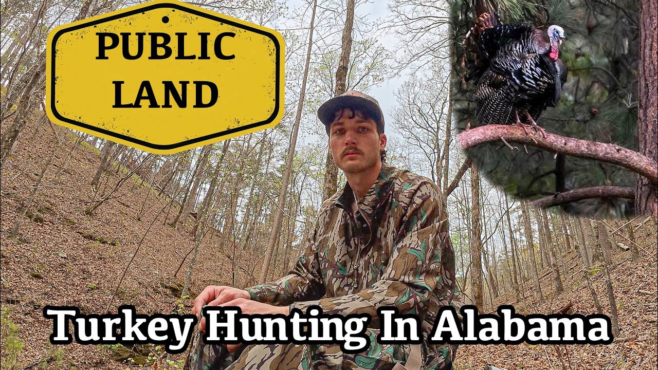 Hunting Magic Turkeys In Alabama?! - YouTube