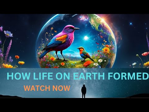 How Life on EARTH Really Formed? - YouTube