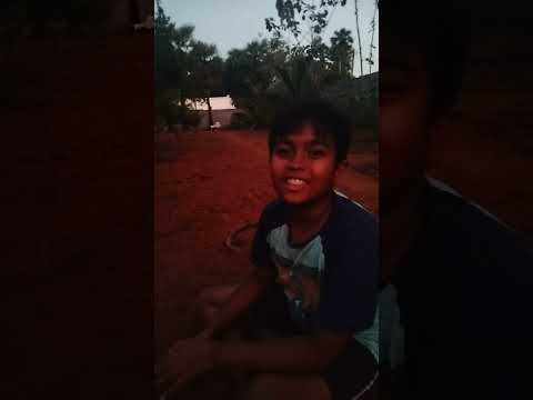 san's Thanjai periya kovil - YouTube