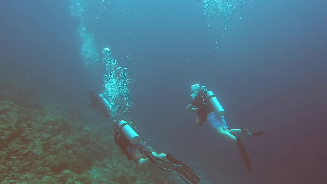 Dive on Dhidhoo Beru Faru Maldives 2021 - YouTube