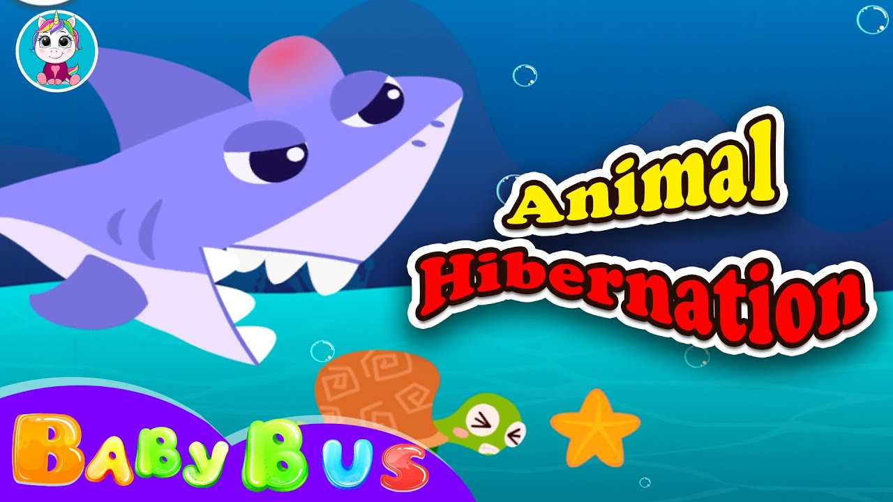BabyBus Game Play: Animal Hibernation | Awesome Video Game - YouTube