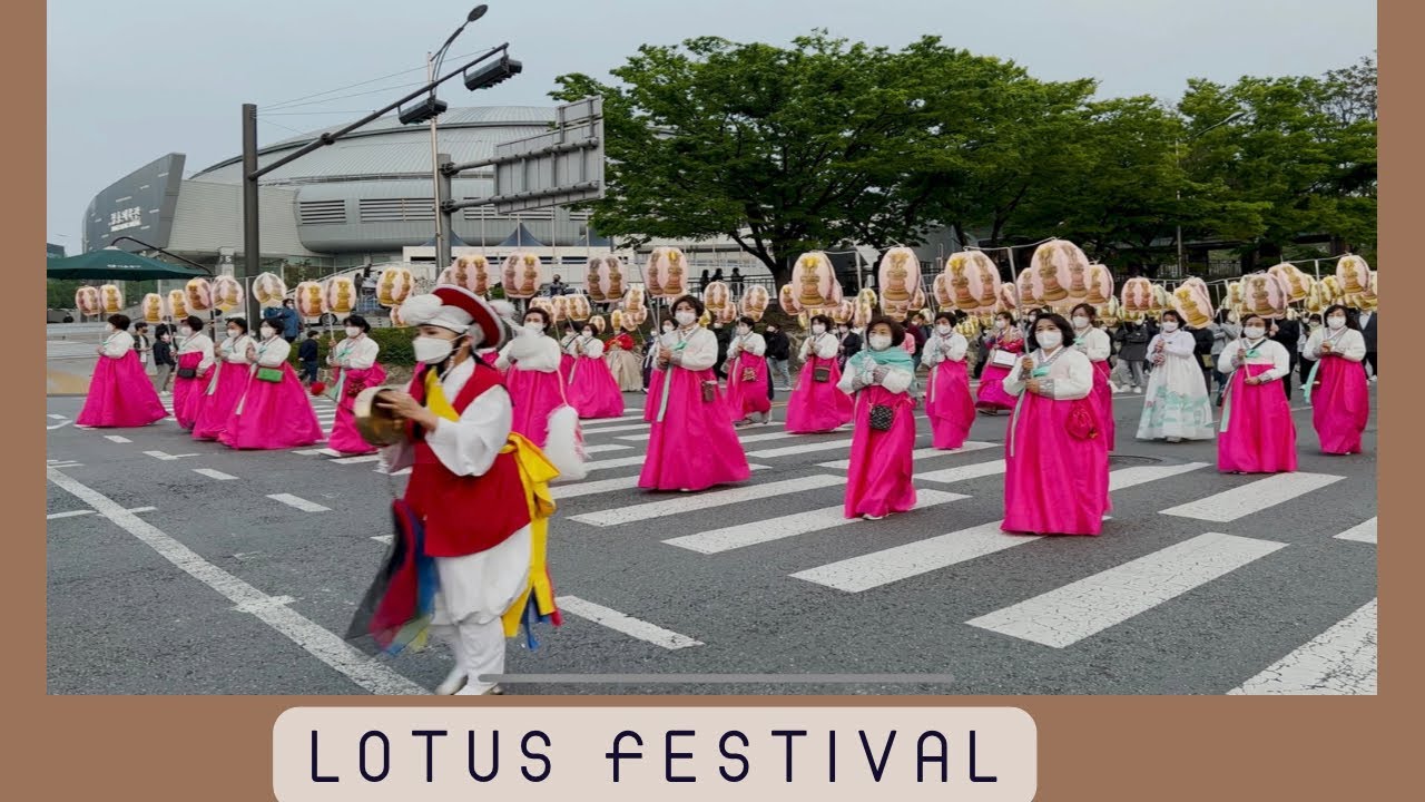 Lotus Festival - YouTube
