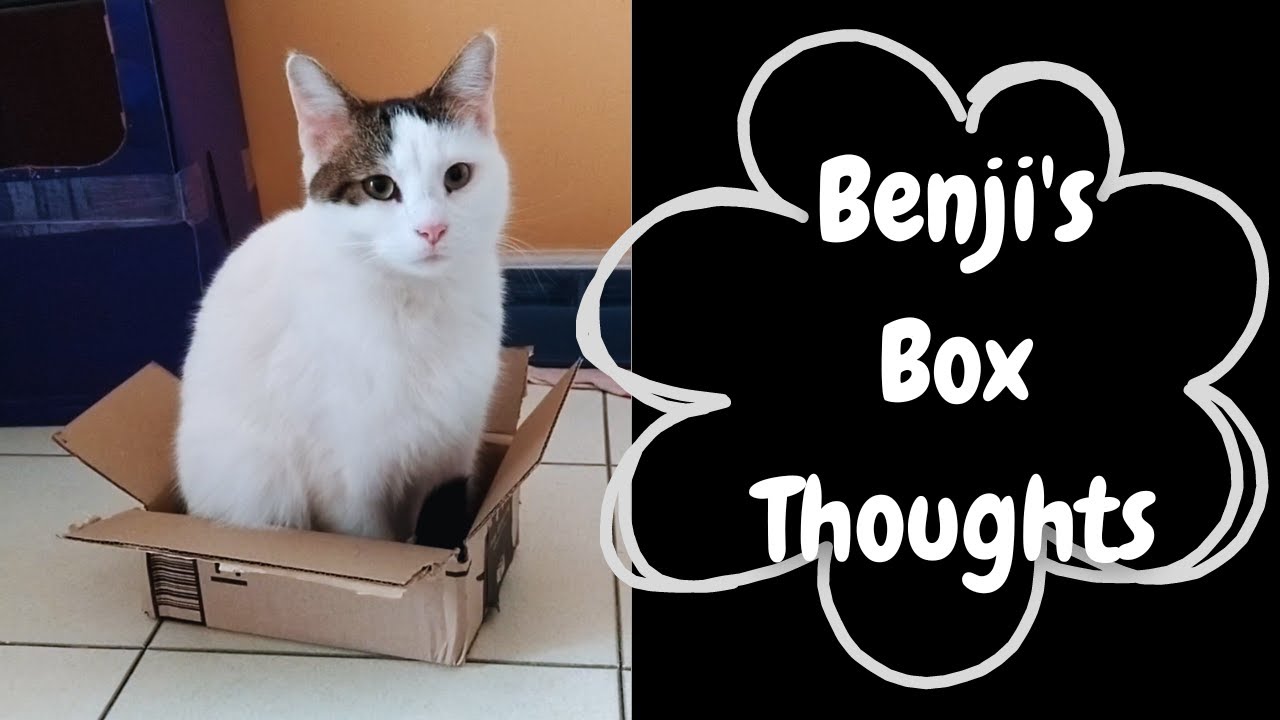 Benji's Box Thoughts Part 2 - YouTube