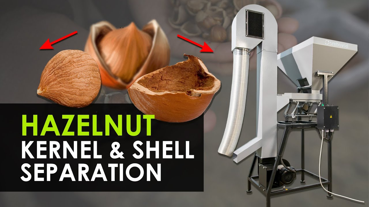 Kernel And Shell Separation Machine Efficient Hazelnut Processing Youtube