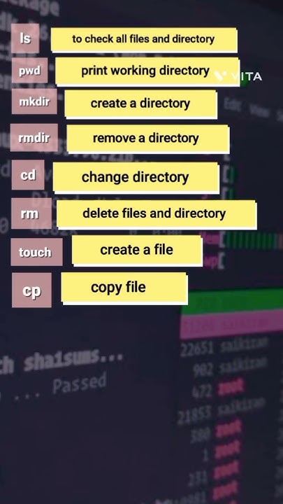 Linux Basic Commands Every Programmer Should Know #shorts #linux #beginners #dev #developer ...
