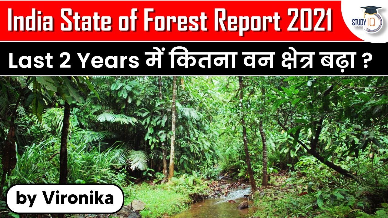 India State of Forest Report 2021, Tree cover of India increases by ...