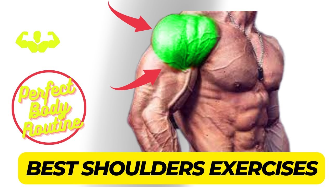 Shoulder Sculpting: A Dynamic Workout for Beautifully Defined Shoulders ...
