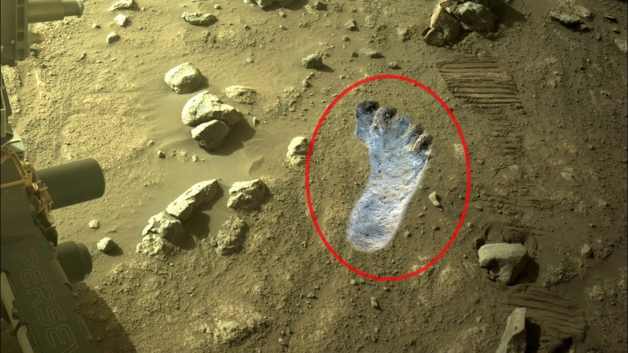 Nasa's Mars Perseverance Rover Captured a Big Footprint on Mars Surface ...