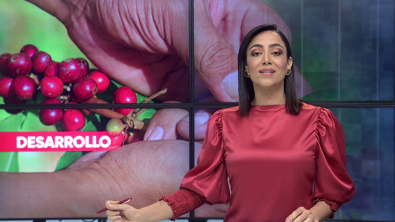 Telepacífico Noticias | Emisión 16 de Noviembre de 2019 | 1:00 P.M ...