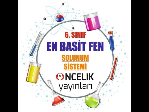 En Basit Fen - 6. Sınıf - Solunum Sistemi