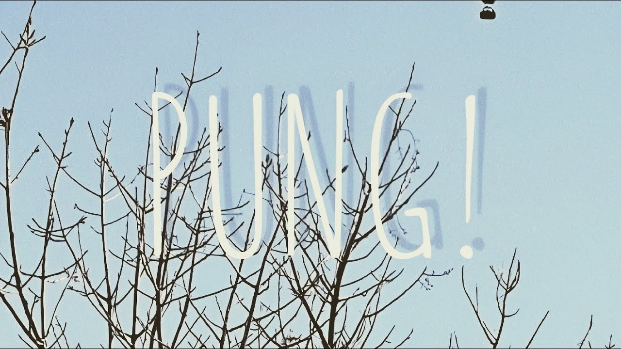 Cynosure - Pung! - YouTube