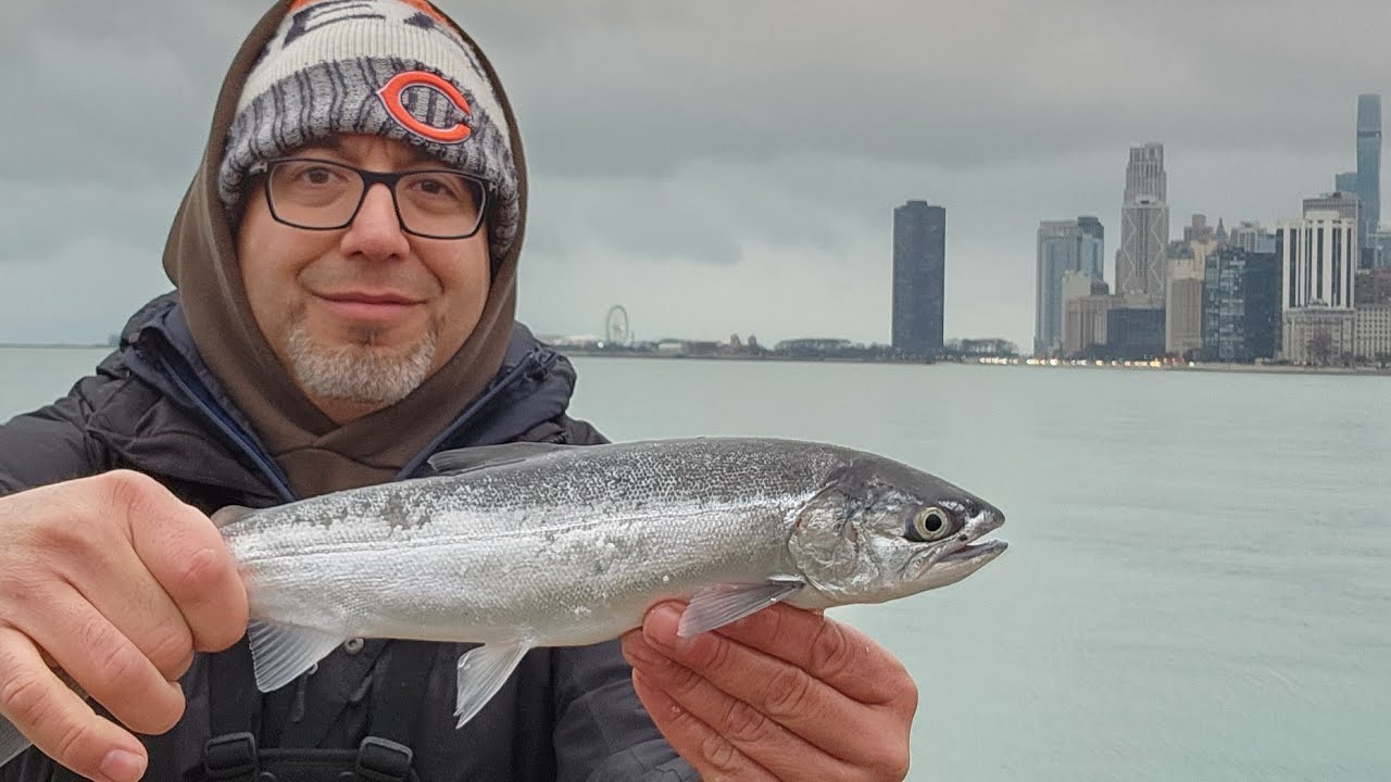 Chicago Coho Salmon, Spring 2023 - YouTube