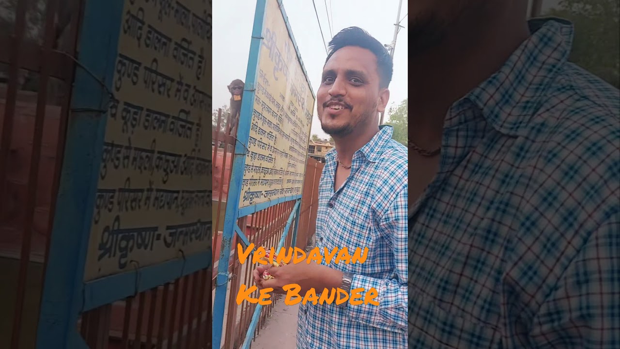 Vrindavan Ke Bander ki Masti - YouTube