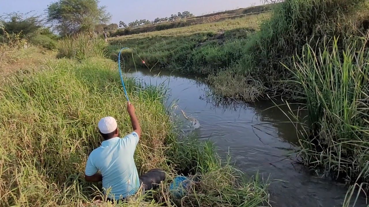 Baam Fishing|Fisher Man Catching The indian Eel Fishes|Big Crab Fishing ...