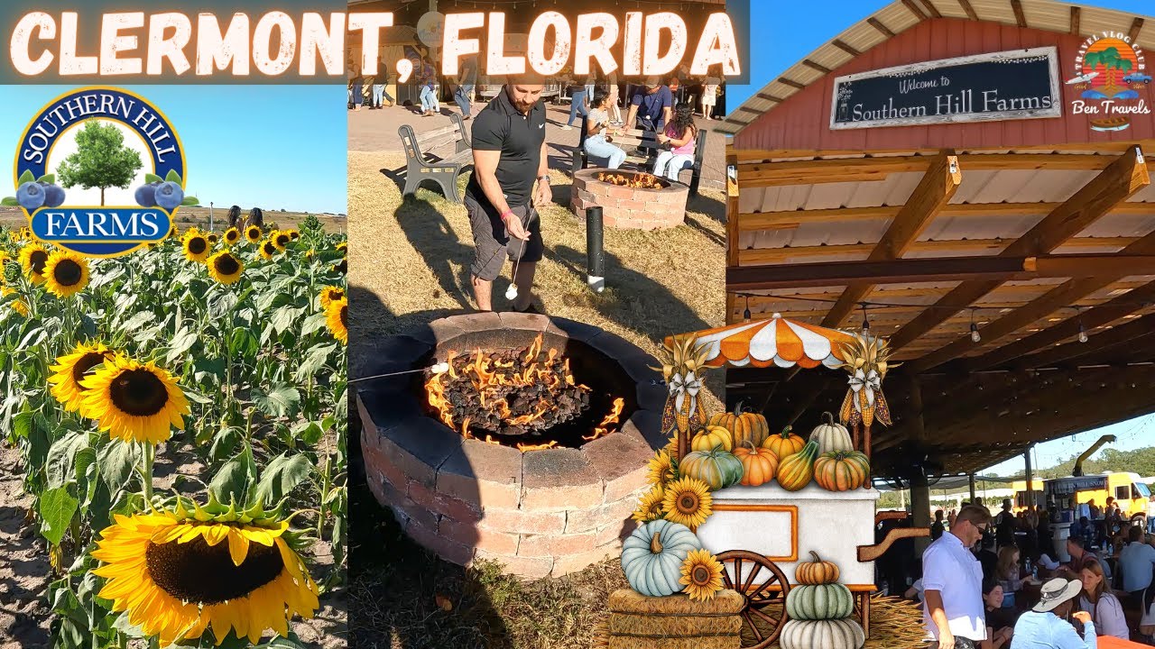 Southern Hill Farms Clermont Florida | Fall Festival 2023 🌻🚜 - YouTube