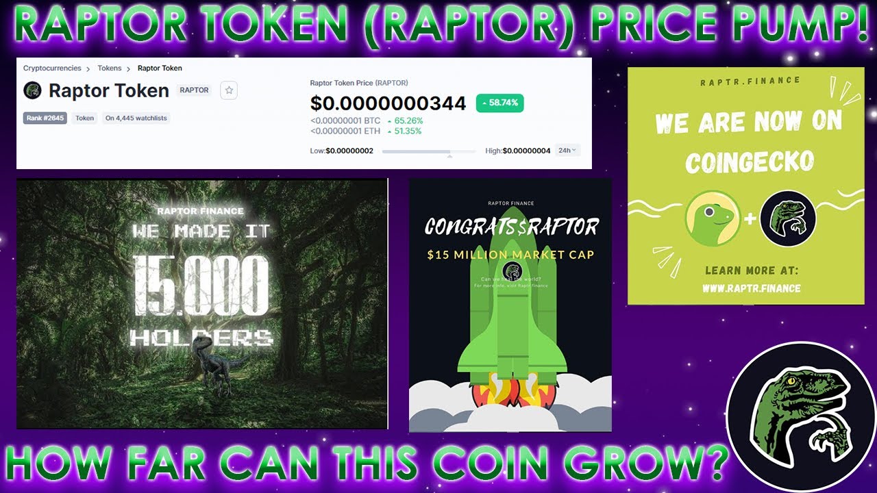 Raptor Token (RAPTOR) Price Pump! Just How Far Can it Grow? HUGE Short ...