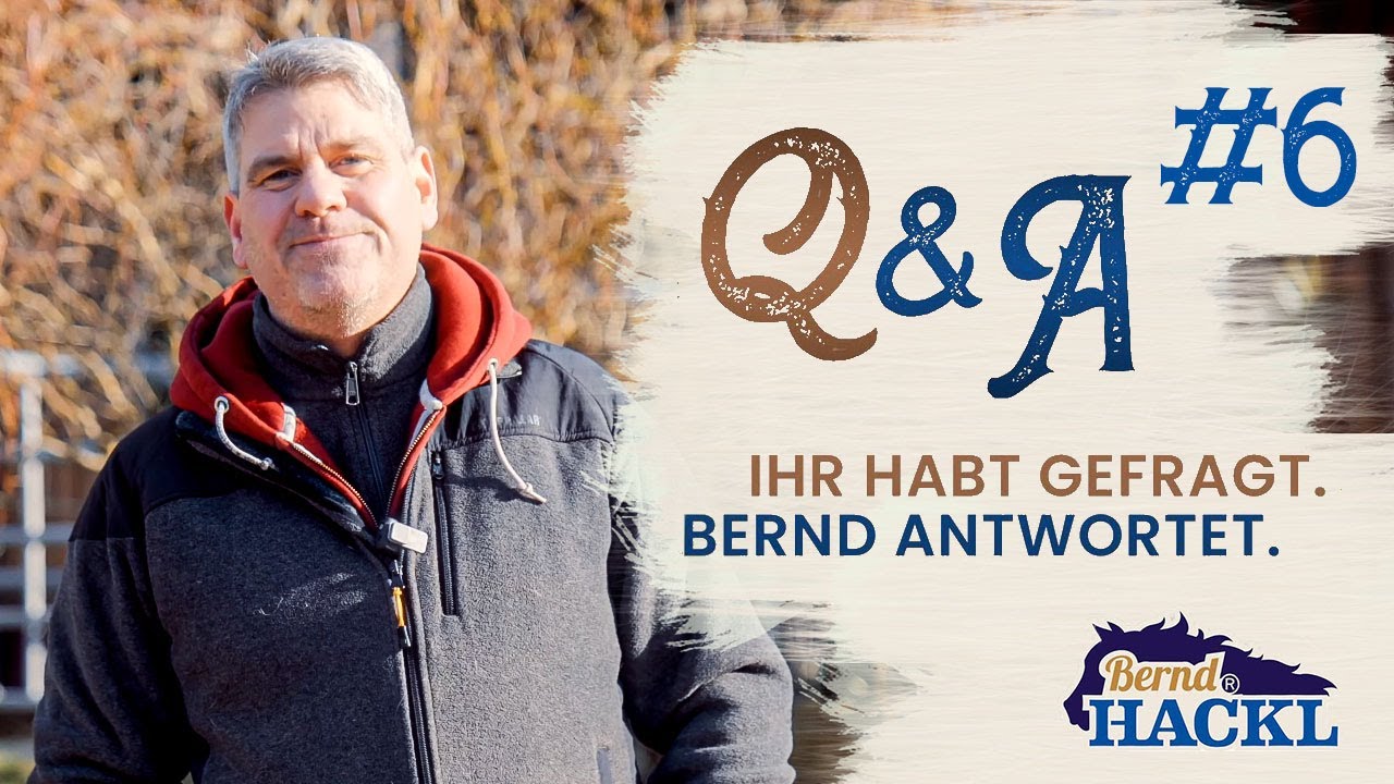 Q&A #6 Ich beantworte eure Fragen | Bernd Hackl Horsemanship - YouTube