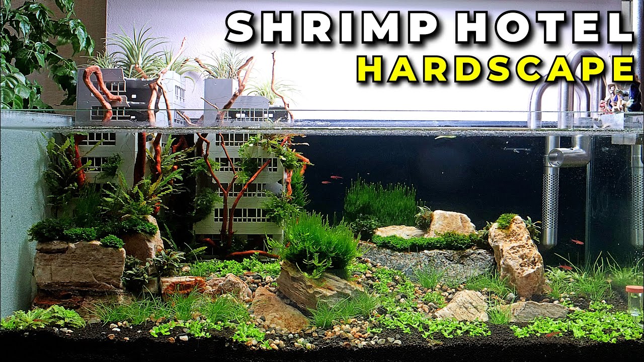 Simple Diorama Style Nano Aquarium | Hardscape - part 1 - YouTube