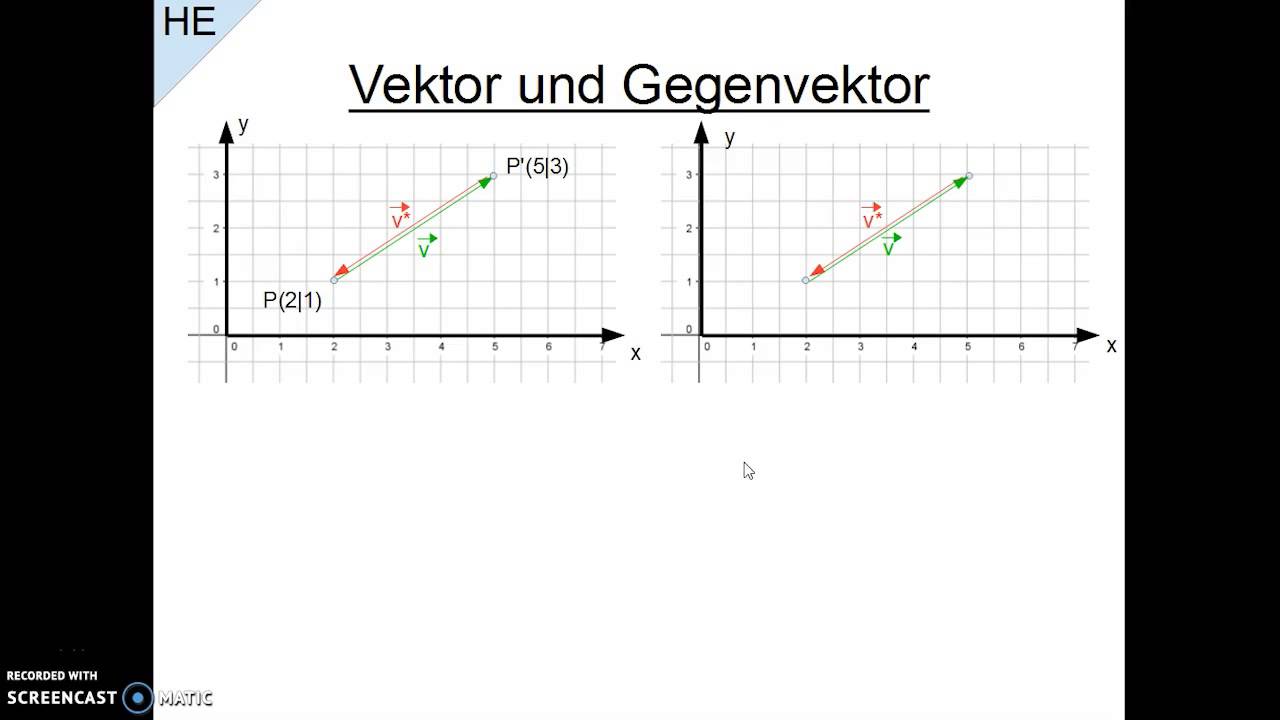 Vektor & Gegenvektor - YouTube