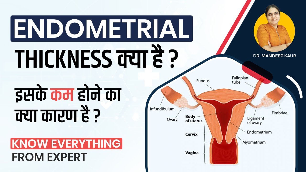 Endometrial thickness, Cancer, in Hindi, Layers, Thin/Endometrial ...
