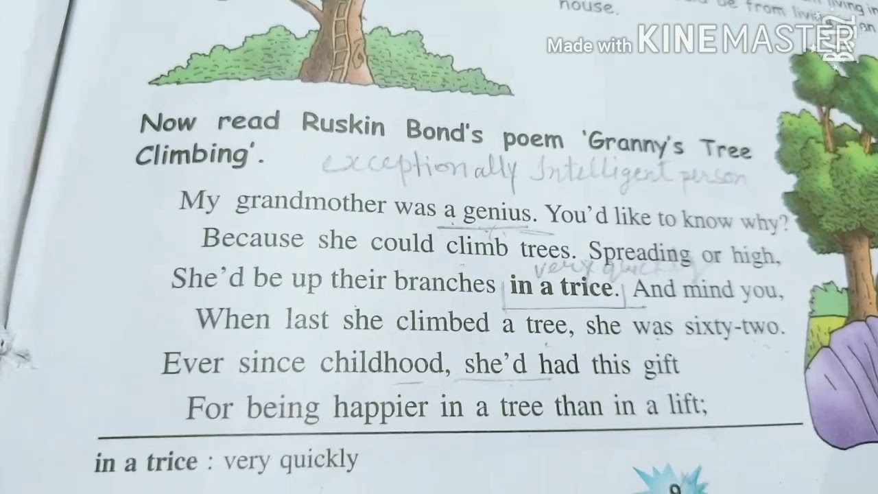 Granny's Tree climbing class VIII DAV - YouTube