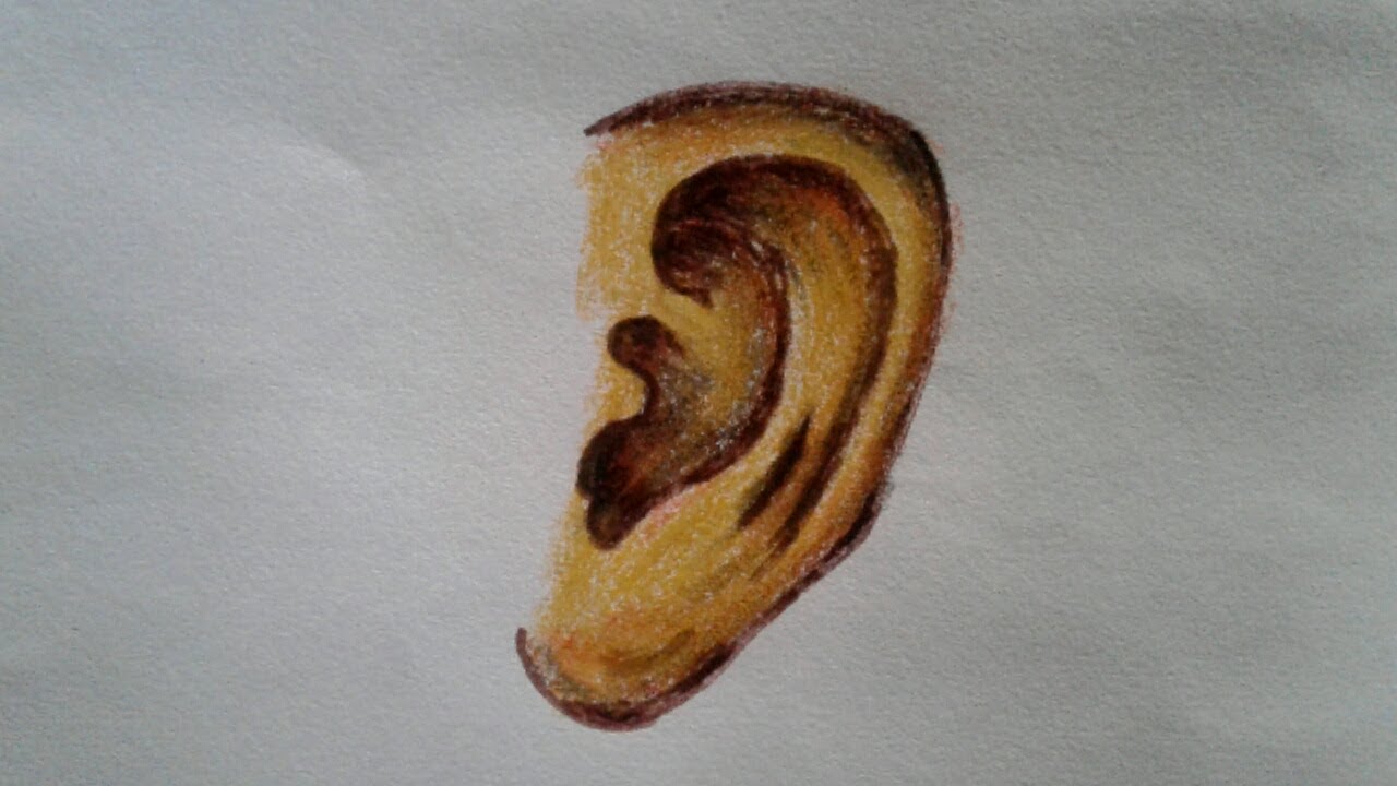 How to draw ear with oil pastels / draw a simple ear / how to color ear ...