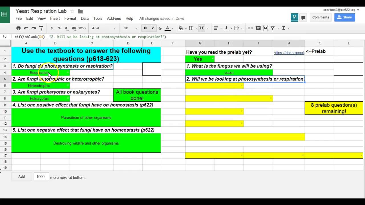 Interactive Google Sheet Demo (Yeast Respiration) - YouTube