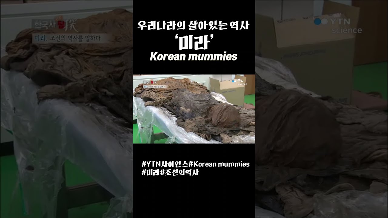 우리나라의 살아있는 역사 '미라' korea mummies #shorts - YouTube