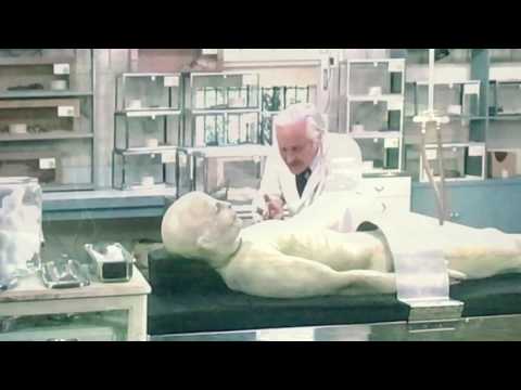 Sssssss (1973)