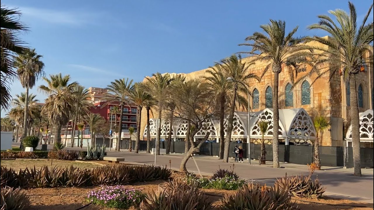 Platja de Palma Aktuell 👍 ️🏖 auf gehts Mallorca 😎 die Party Gäste ...