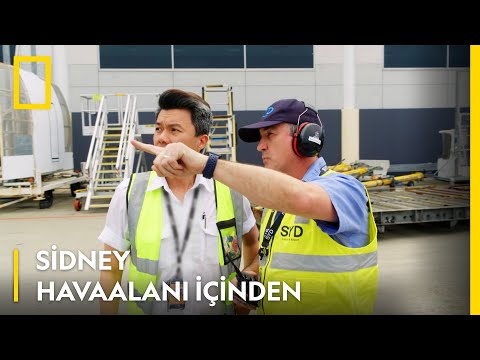 Sidney Havaalanı içinden | National Geogrphic