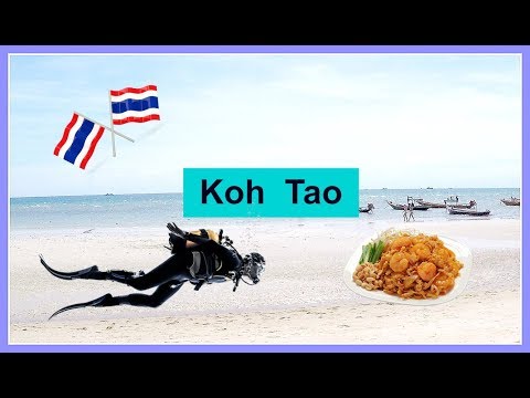 EvAlog | My new fav sport - Diving! | Thailand Koh Tao