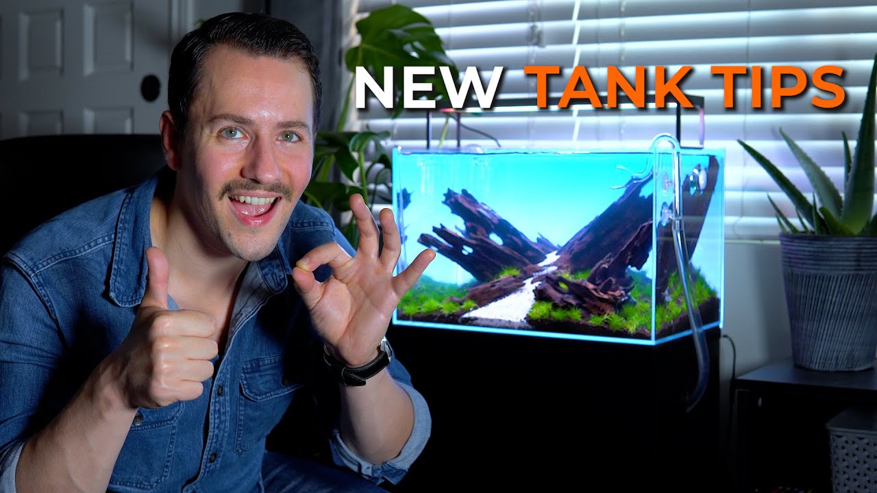 HIGH TECH PLANTED AQUARIUM | Tips for Success - YouTube