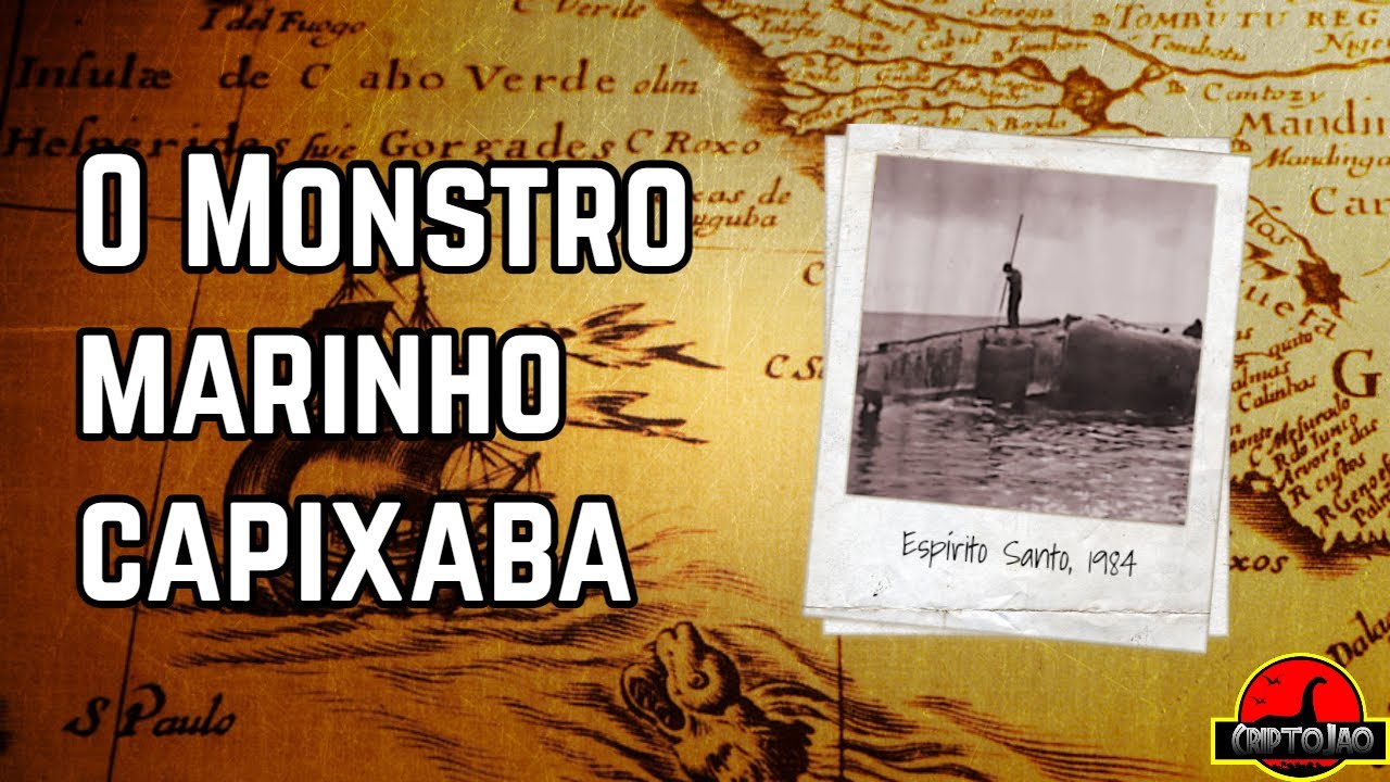 O Caso do Monstro Marinho Brasileiro - YouTube