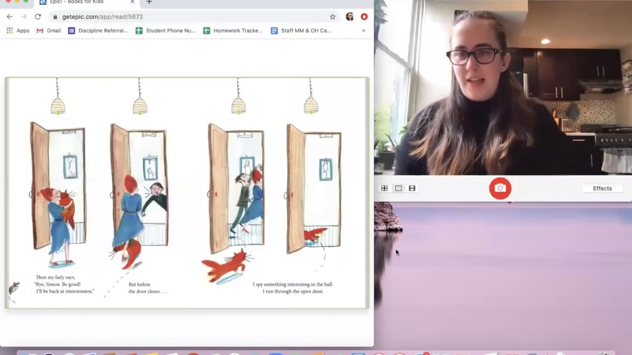 Backstage Cat - YouTube