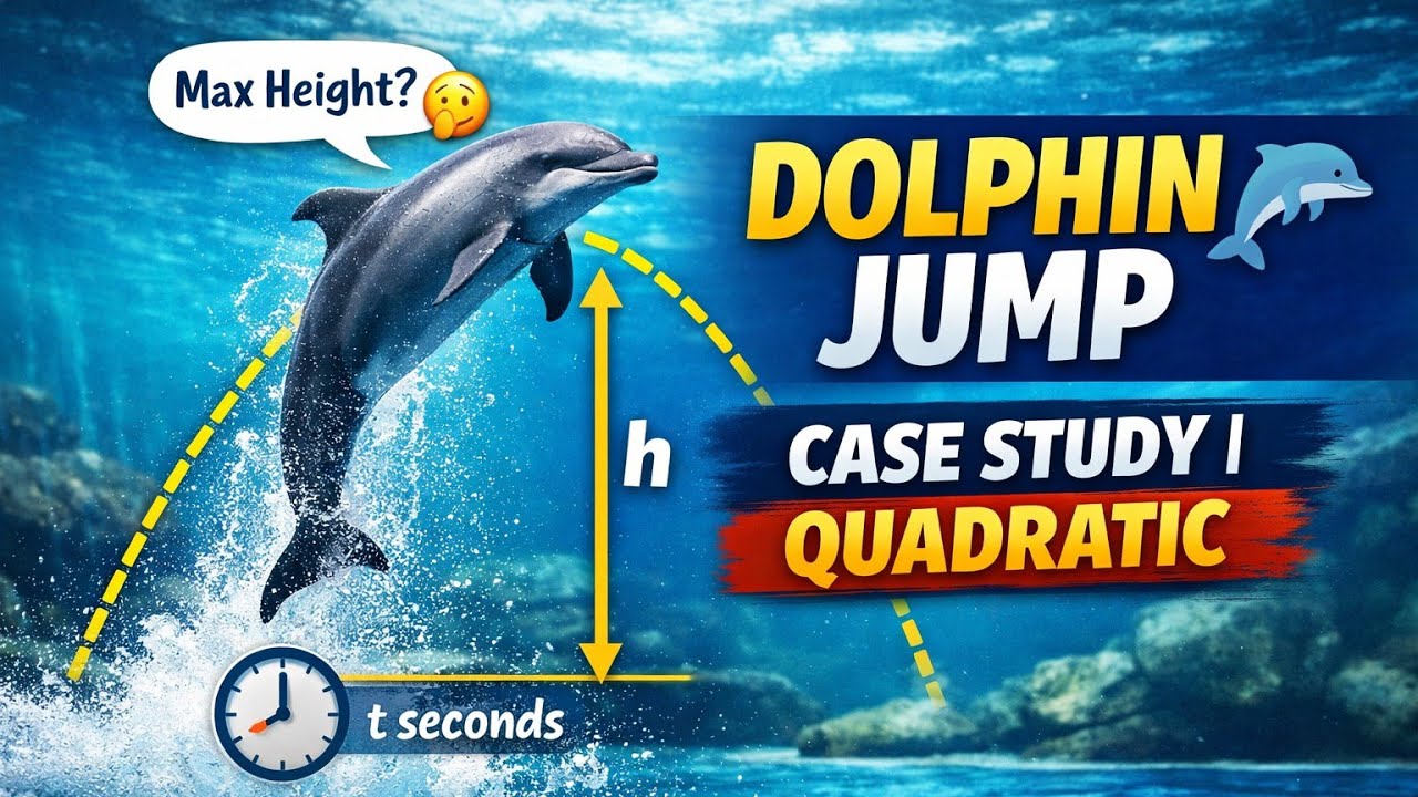 Dolphin Jump Case Study | Quadratic Equations | Class 10 Maths - YouTube