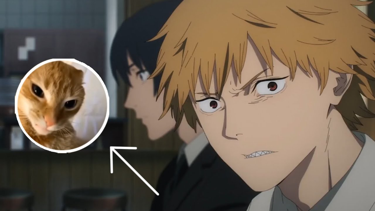 That CSM meme format from episode 8, but 🐈. - YouTube