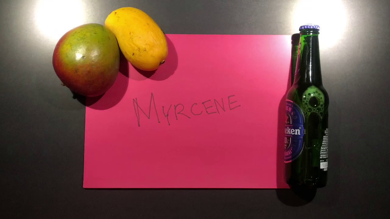 Myrcene Terpene in Hops and Mango - YouTube
