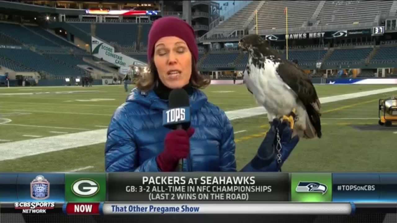 NFC Championship game preview w/Taima the hawk - YouTube