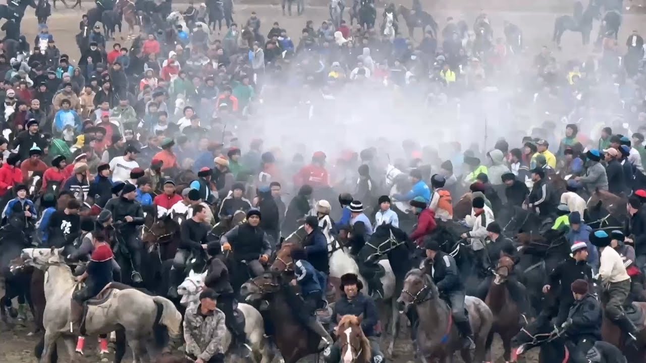 HORSE JOINING AND PEOPLE @FALCON_UZ - YouTube