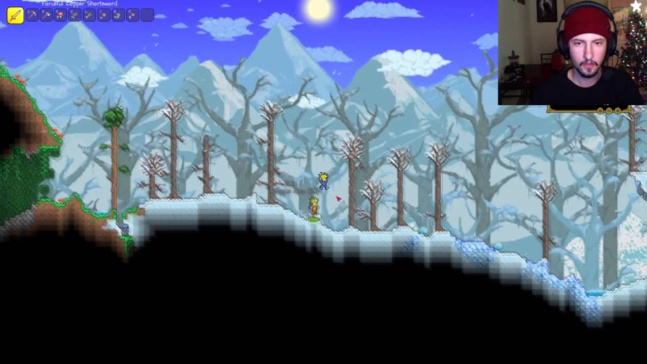 Terraria/DBZ FAMILY!!! - YouTube