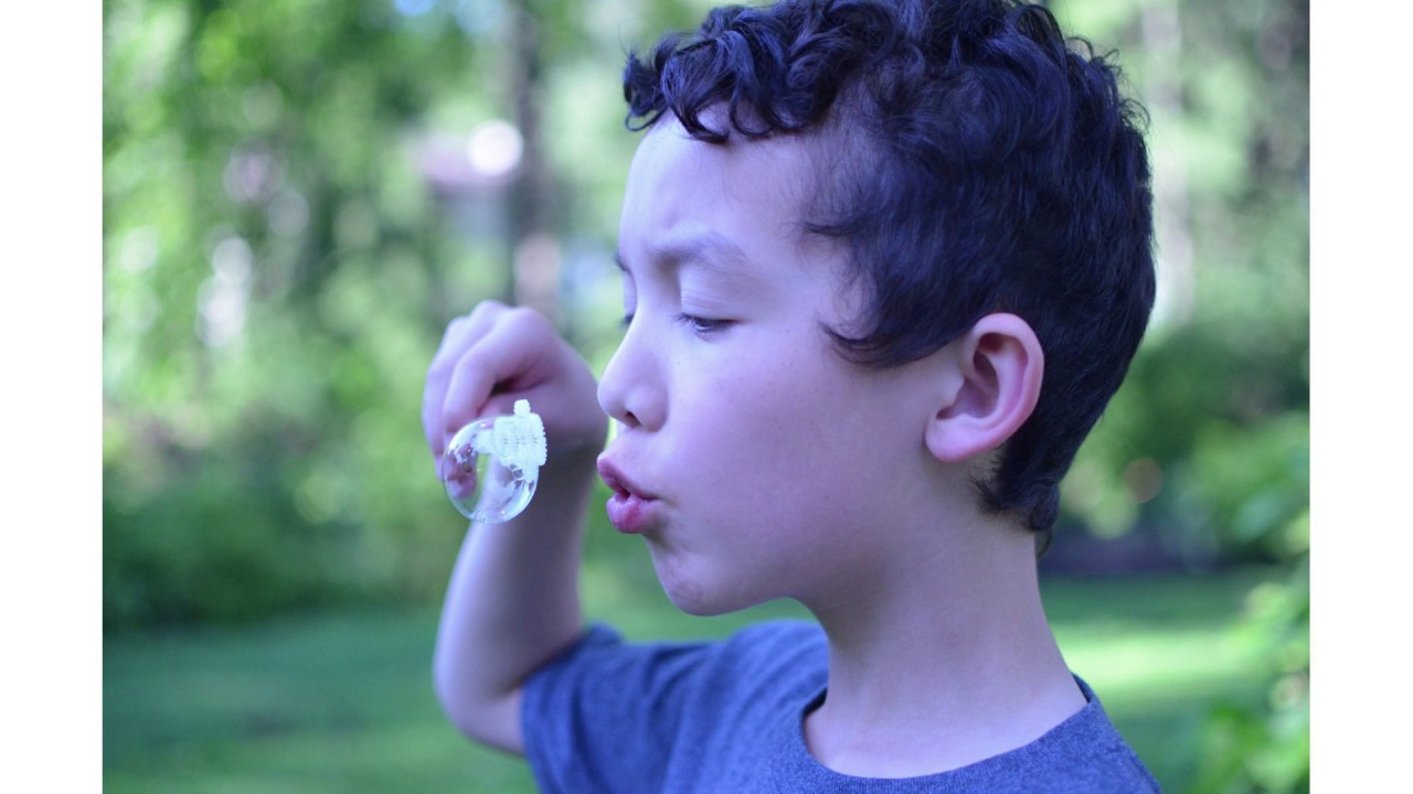 Growing organs through understanding and reconstructing tissue ...