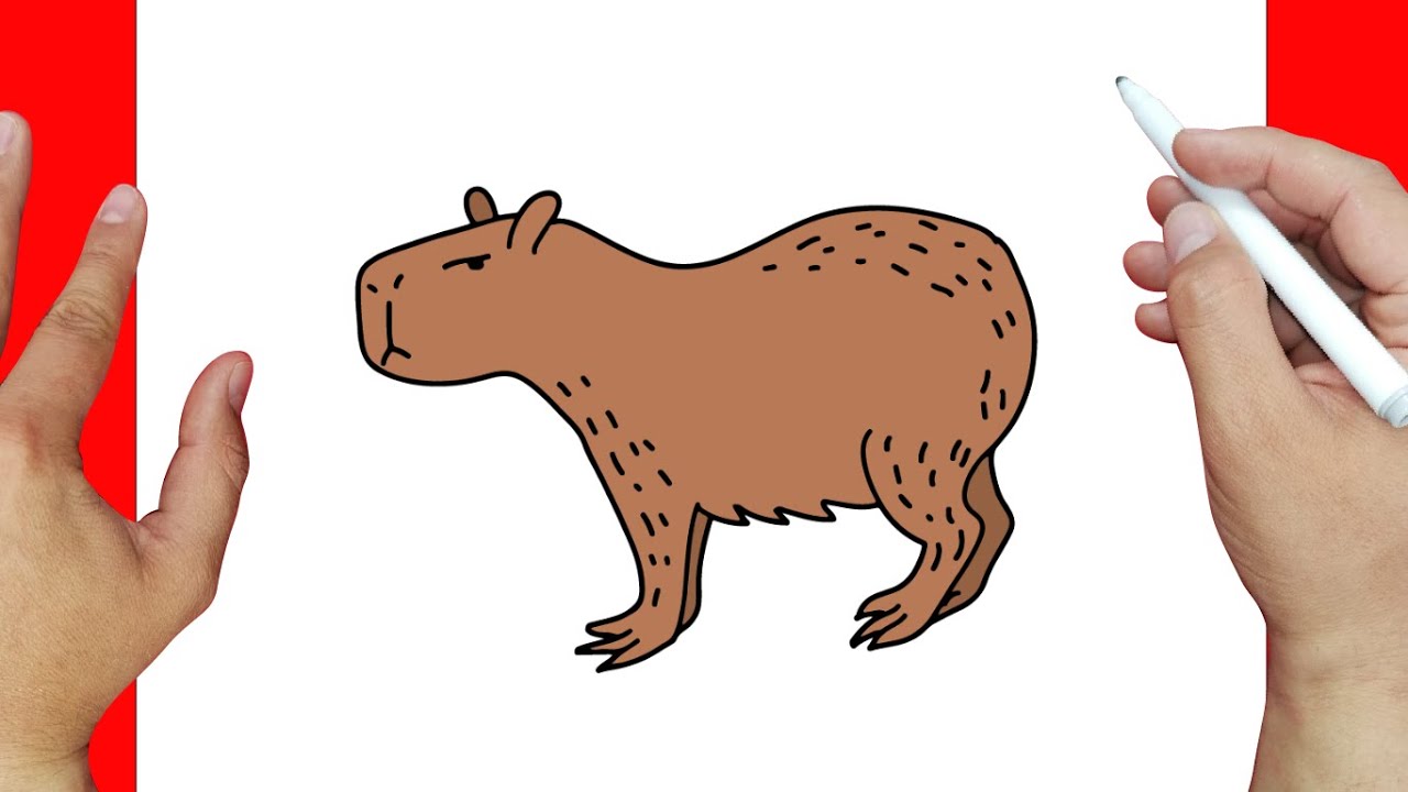 How to draw capybara - YouTube