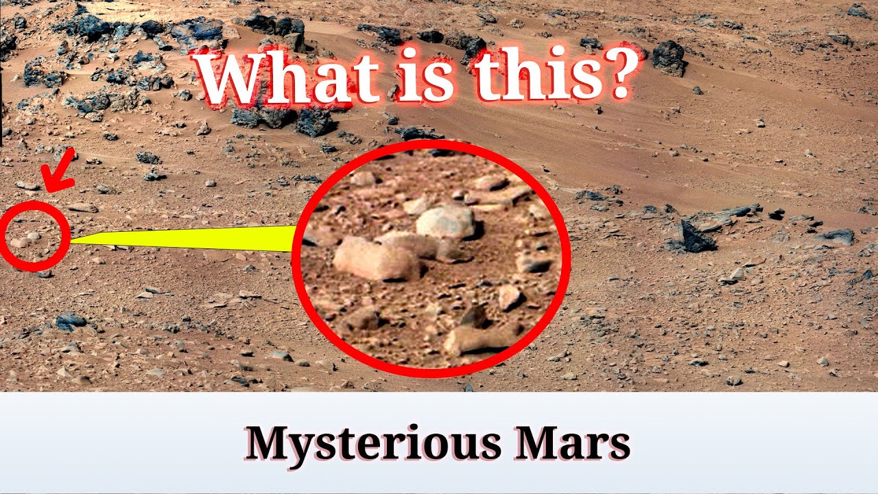Mysterious Mars : Is it a Rat? Life on Mars? Marte Rovers - YouTube