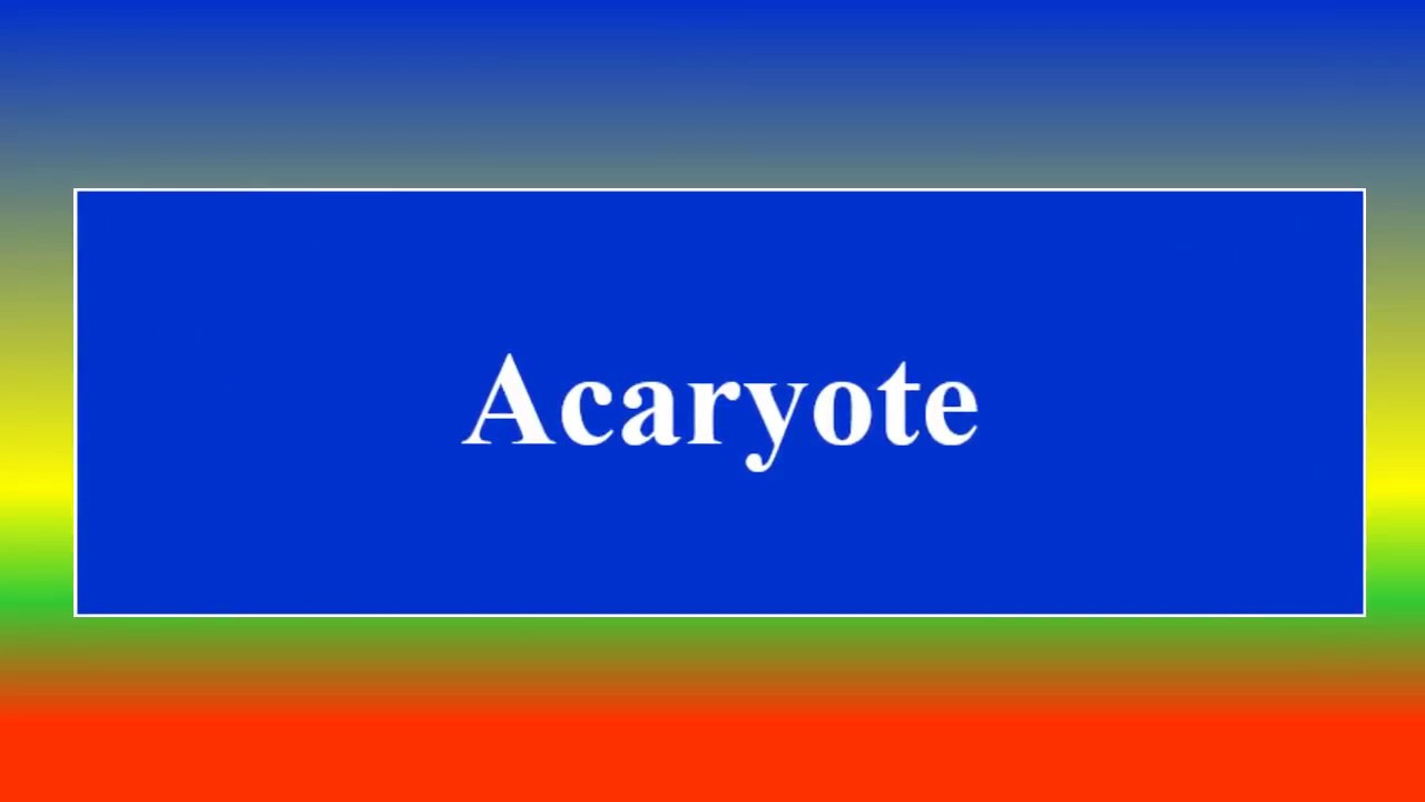 Acaryote - YouTube
