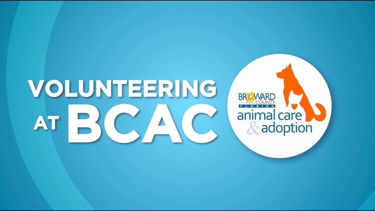Volunteering at BCAC - YouTube