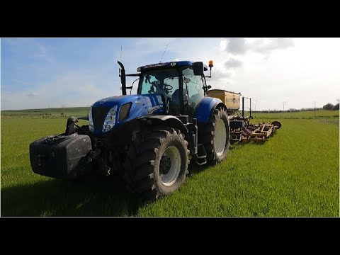Will this work...... direct drilling beans into grass - YouTube