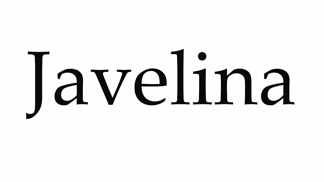 How to Pronounce Javelina - YouTube